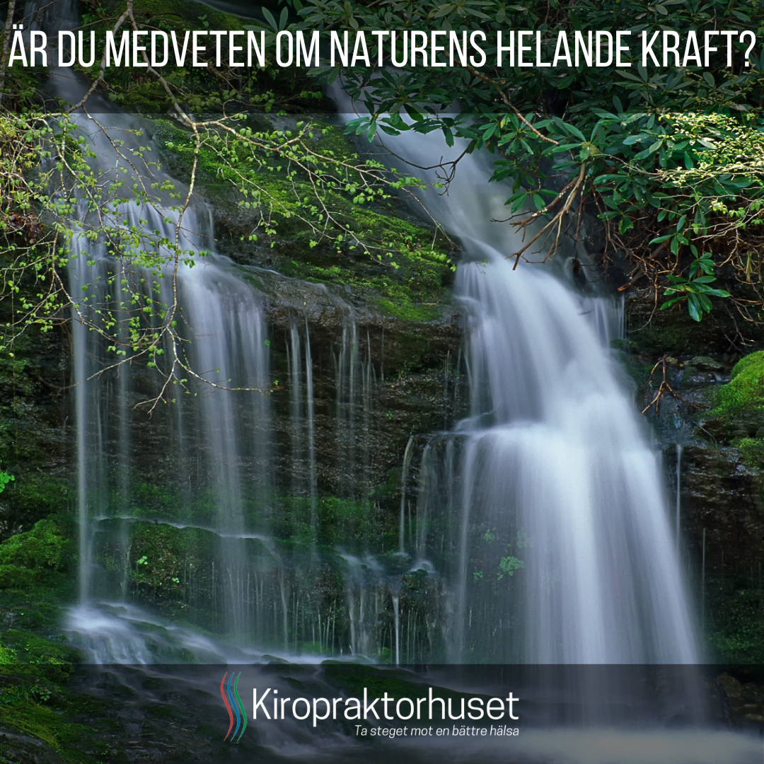 Naturens helande kraft - Kiropraktorhuset